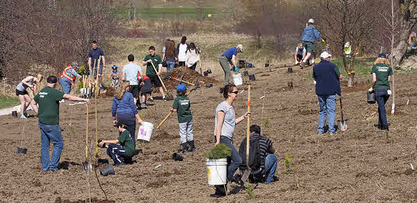 Community Planting - Aurora Community Arboretum