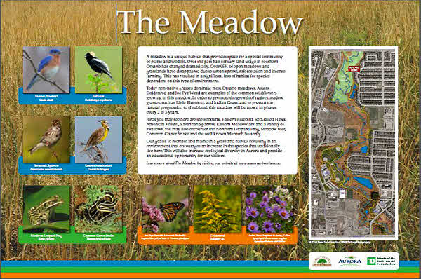The Meadow - Aurora Community Arboretum